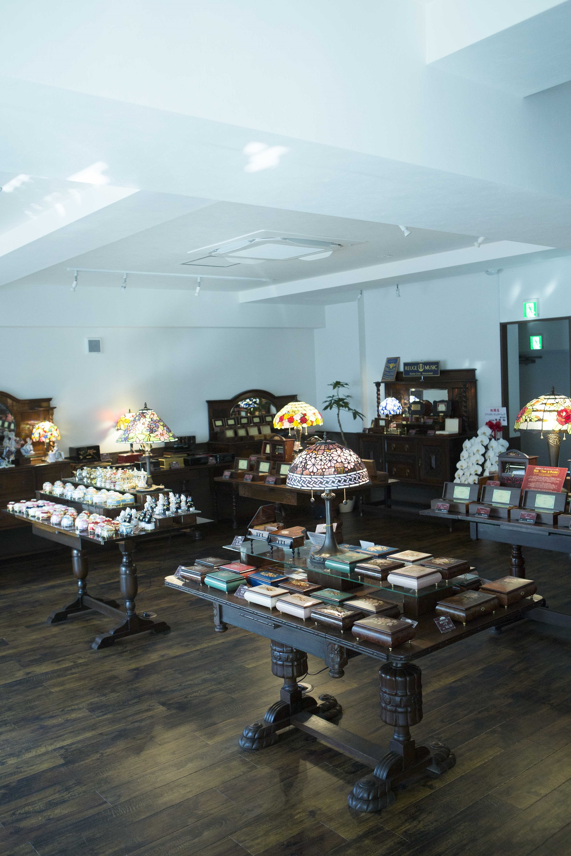 HARAJUKU 35 | ORGAN CRAFT